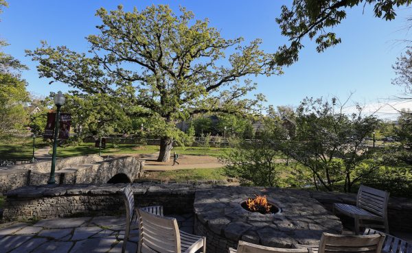 Home - Limestone Post Magazine - Limestone Post Magazine in Bloomington ...