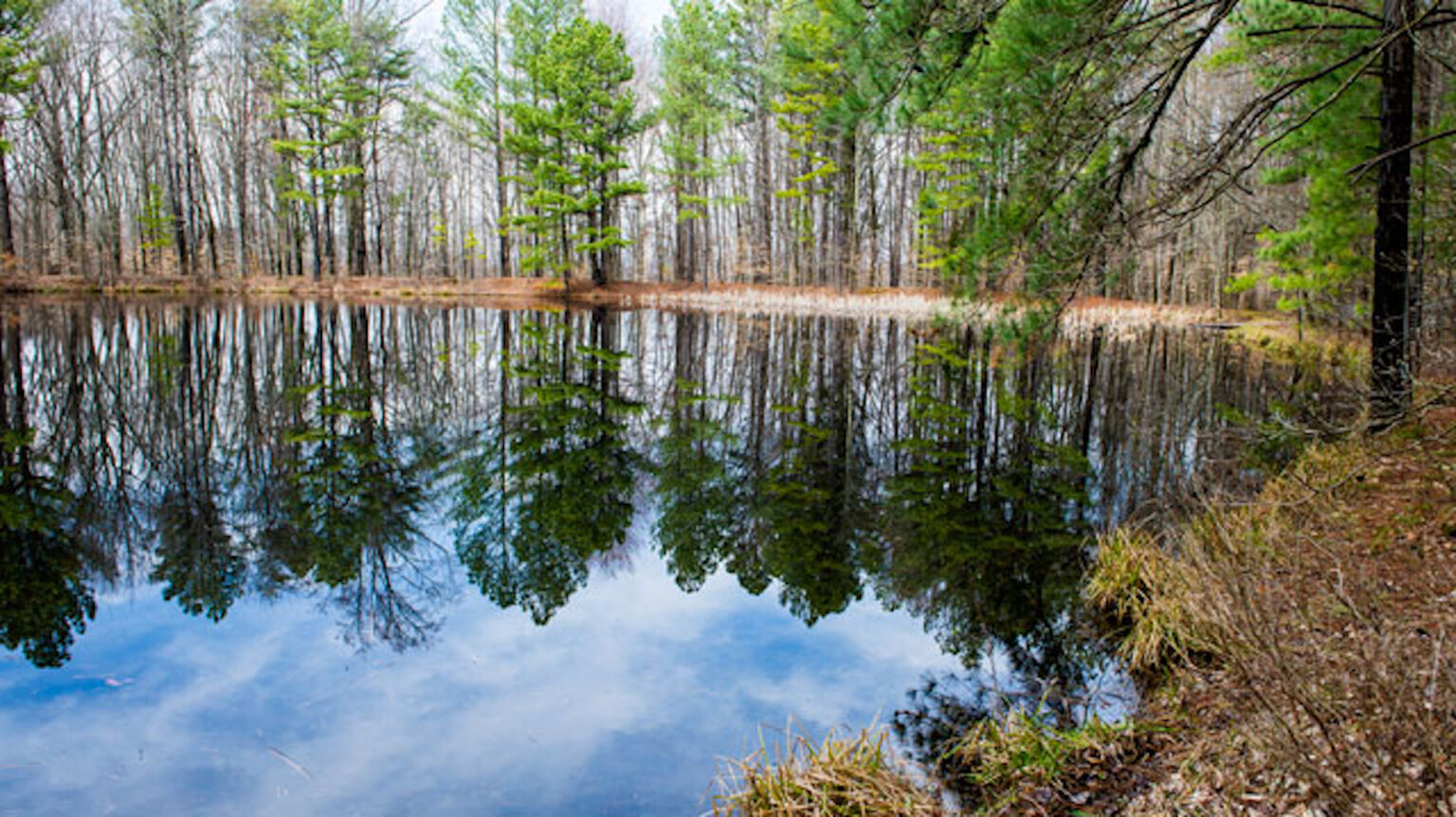 On Saving the Deam Wilderness and Hoosier National Forest | Photo Essay ...