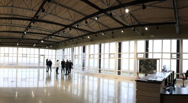 Sandhill Cranes Are the Stars of Marsh Madness at Goose Pond ...